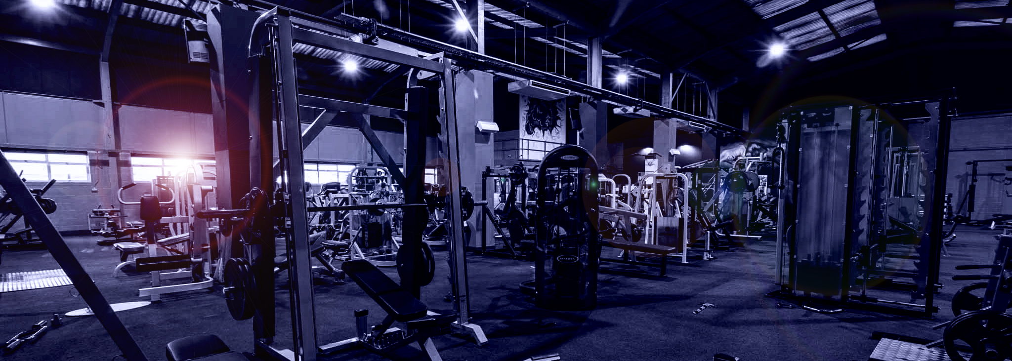 Tedd’s Health and Fitness – Welcome to the Mecca of Deeping!